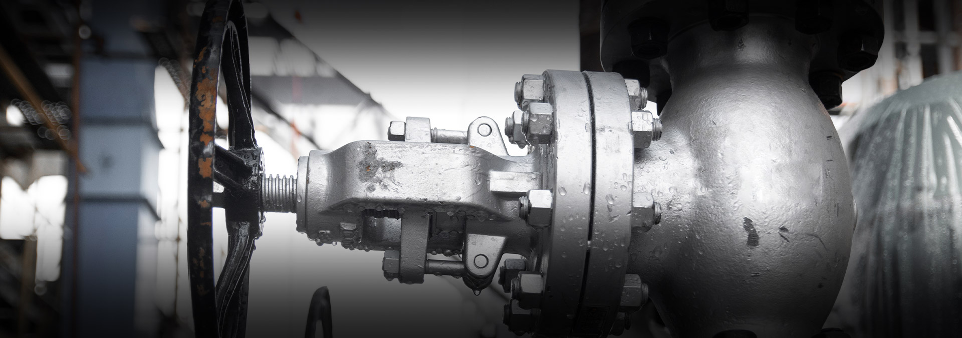 Globe Valve Suppliers and Distributors in Middle East- GNE